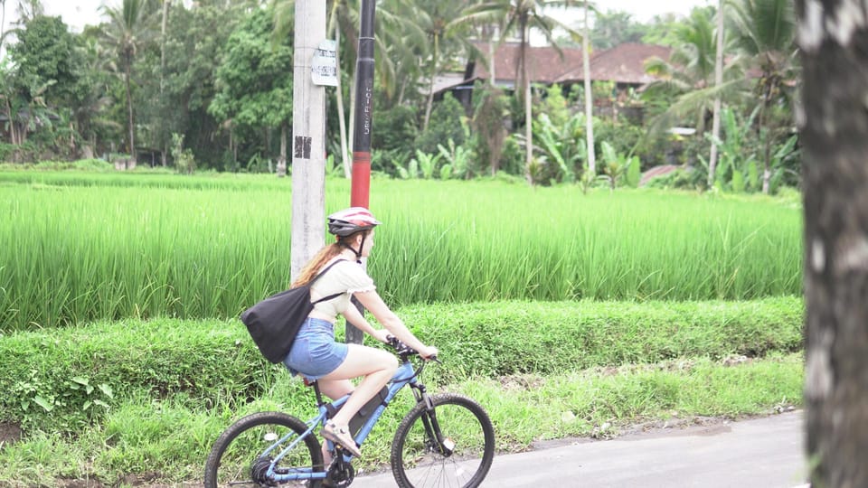 E-Bike: Ubud Rice Terrace & Visit Local Temple Cycling Tour | GetYourGuide