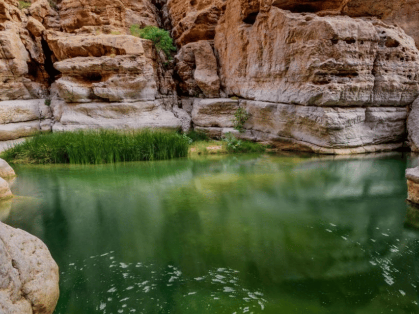 Paradise Valley Atlas Mountain & Lunch | GetYourGuide