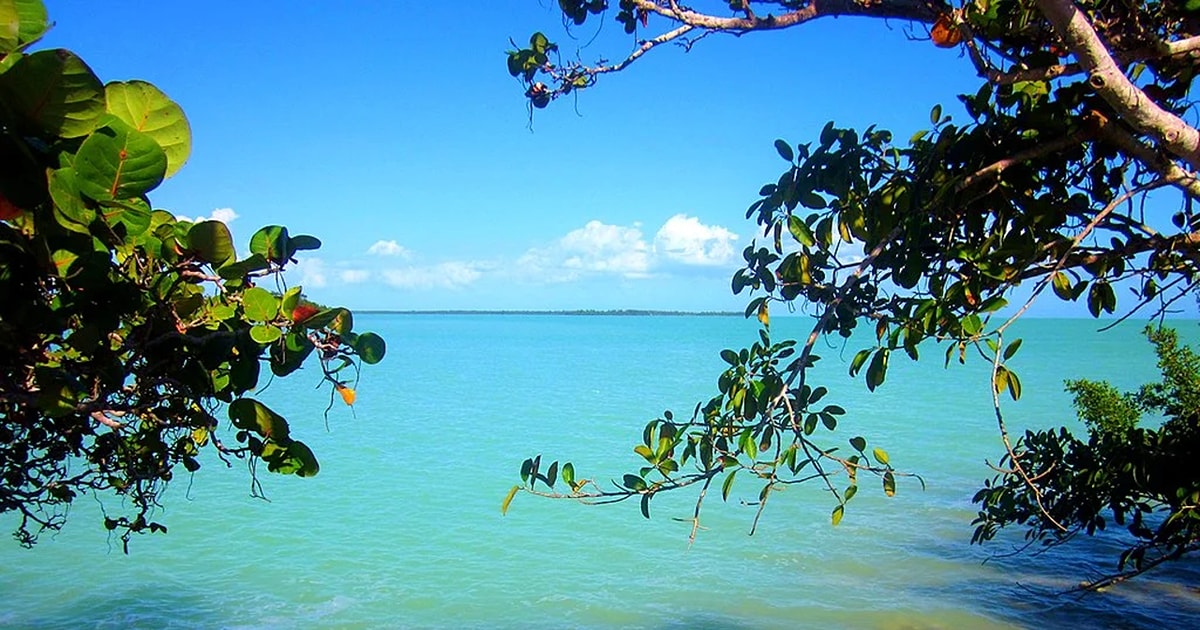 Recorrido a pie y comida callejera en Calderitas México | GetYourGuide