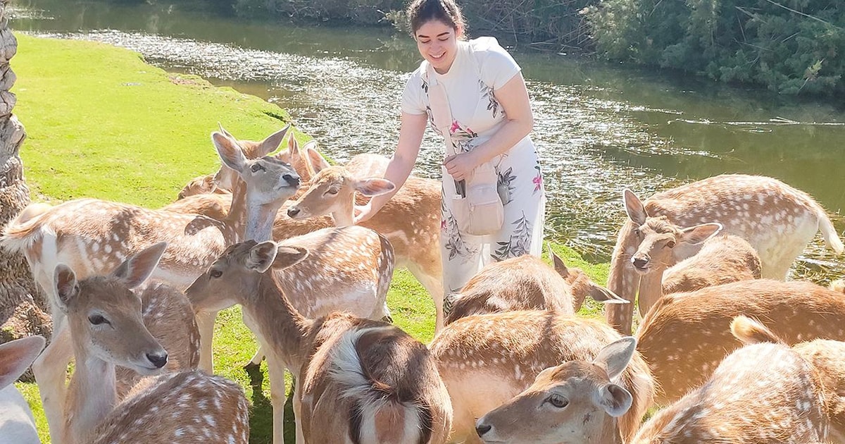 El Cairo: Excursión de un día con guía al Parque Safari de África con ...