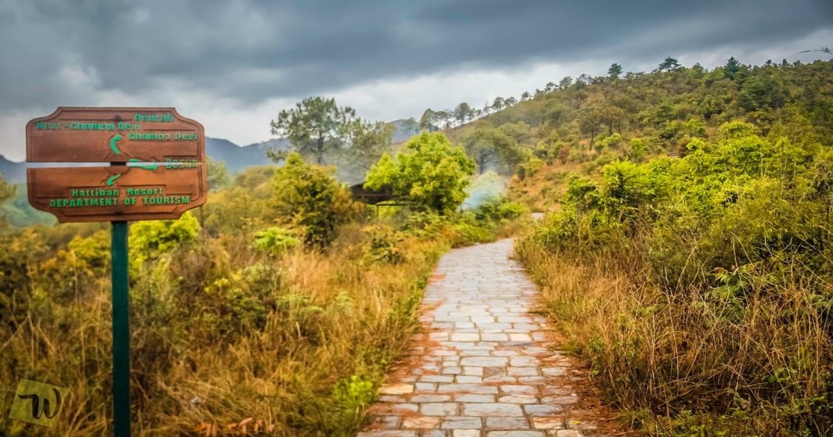 One day Champadevi hike (Kathmandu-Champadevi) | GetYourGuide