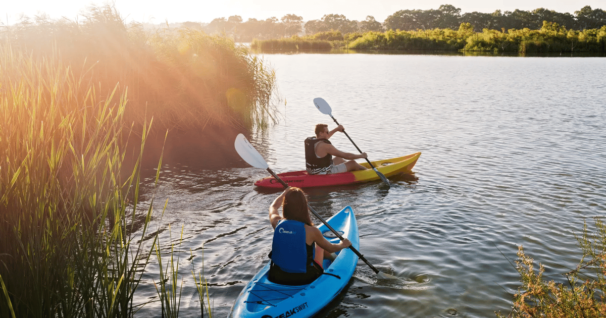 Banrock Station: Guided Kayaking Tour & Tasting | GetYourGuide