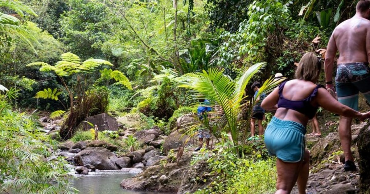 Saint Lucia: Rainforest Hike and Waterfall Safari | GetYourGuide