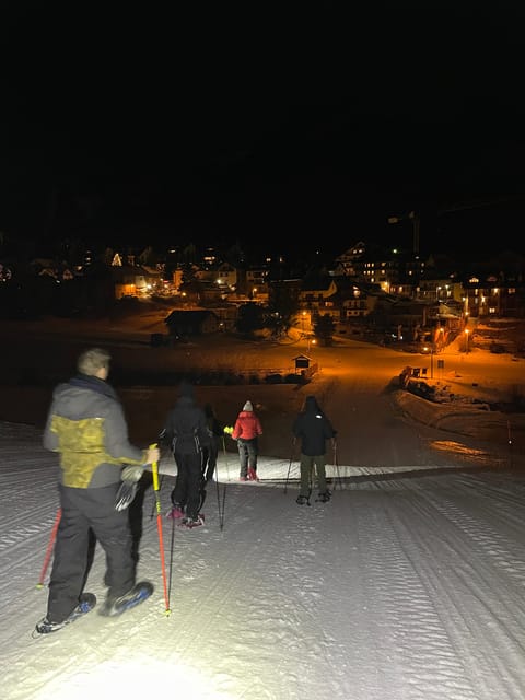 Vialattea: Night Snowshoeing under the Stars | GetYourGuide