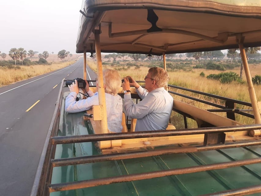 18 Days African Jungle Safari Tour | GetYourGuide