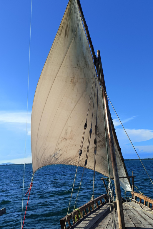 Rent a Dhow for Snorkeling & Dolphin Watching & Wasini Visit | GetYourGuide