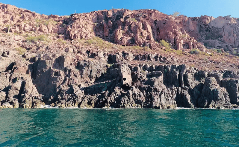 La Paz: Paseo en barco a la isla espíritu santo y balandra | GetYourGuide