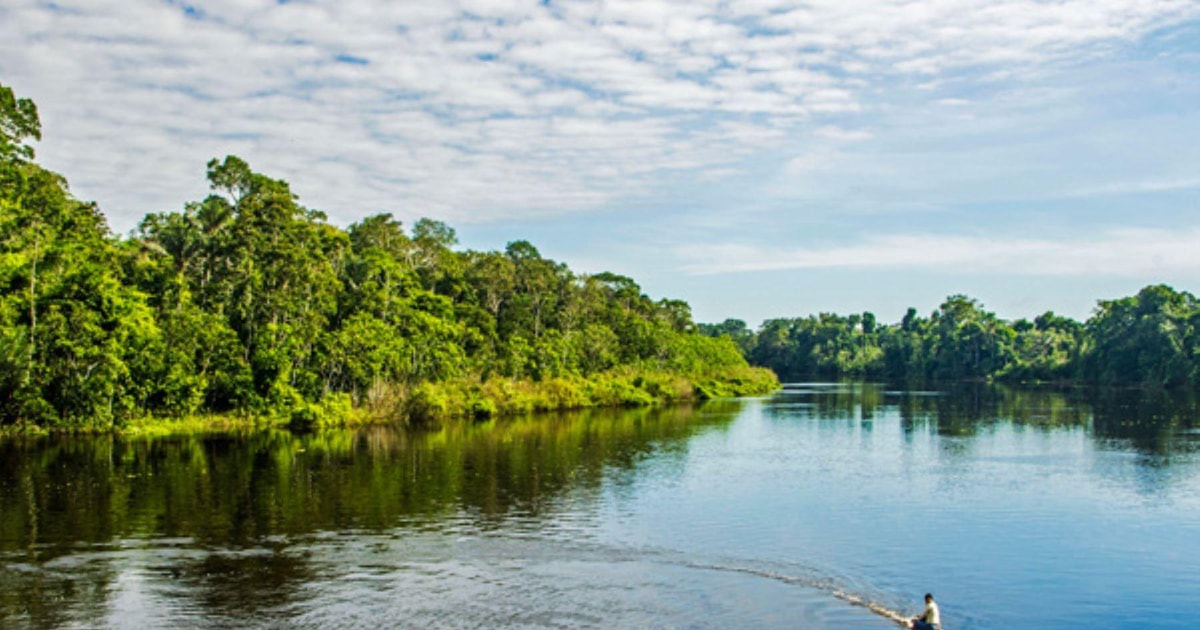 Desde Iquitos: Navega por el río Amazonas - Día completo | GetYourGuide