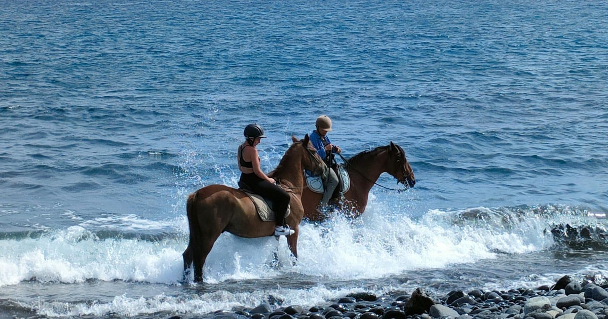 Tenerife Dél: Privát lovaglás a tengerparton | GetYourGuide