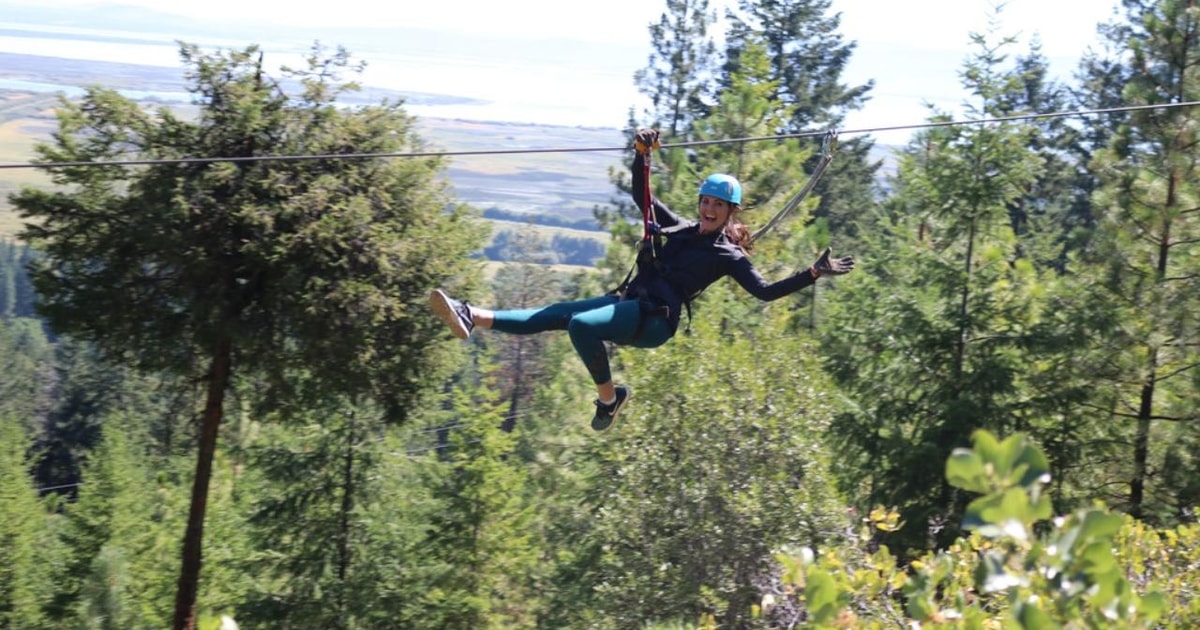 Crater Lake: Tree Canopy Zipline Adventure | GetYourGuide