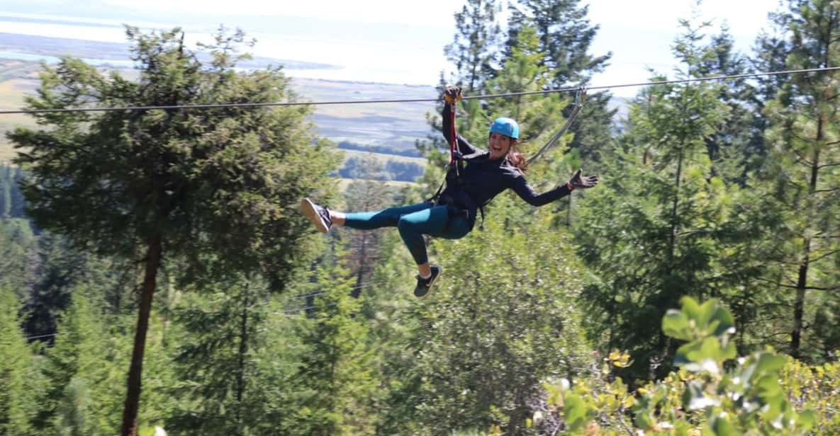 Crater Lake: Tree Canopy Zipline Adventure | GetYourGuide