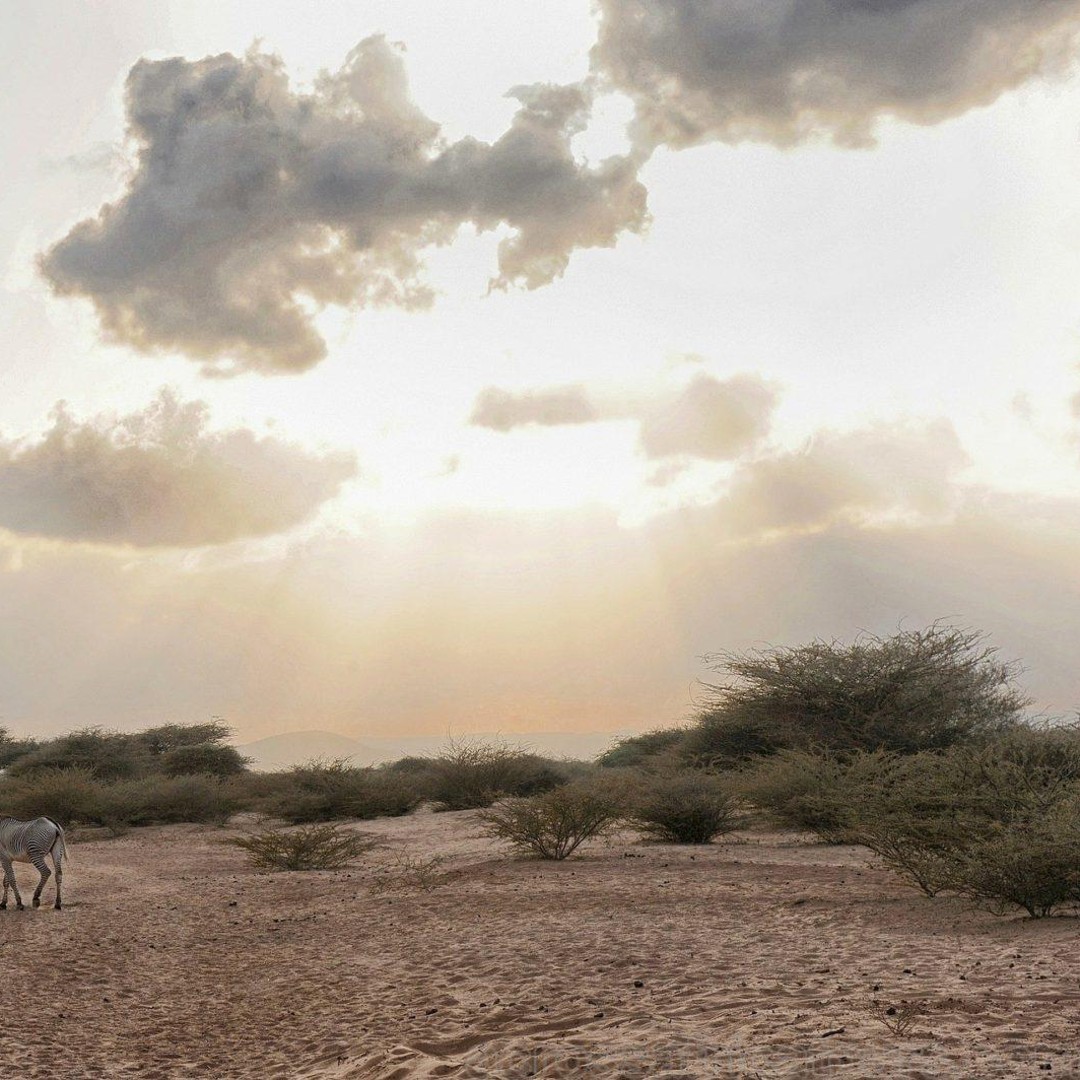 Assal-See und Salzpfannen: Eine Tour ab Dschibuti | GetYourGuide