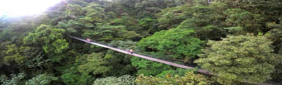 Hanging Bridges Mistico Park and Canopy | GetYourGuide