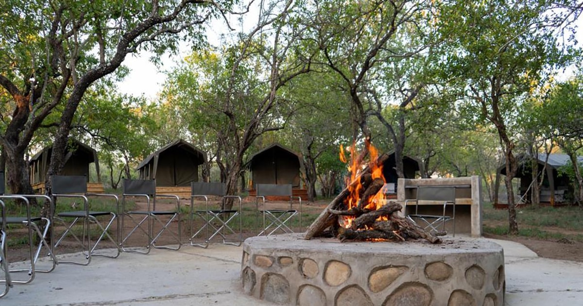 5 giorni di avventura economica nel Kruger Glamping | GetYourGuide
