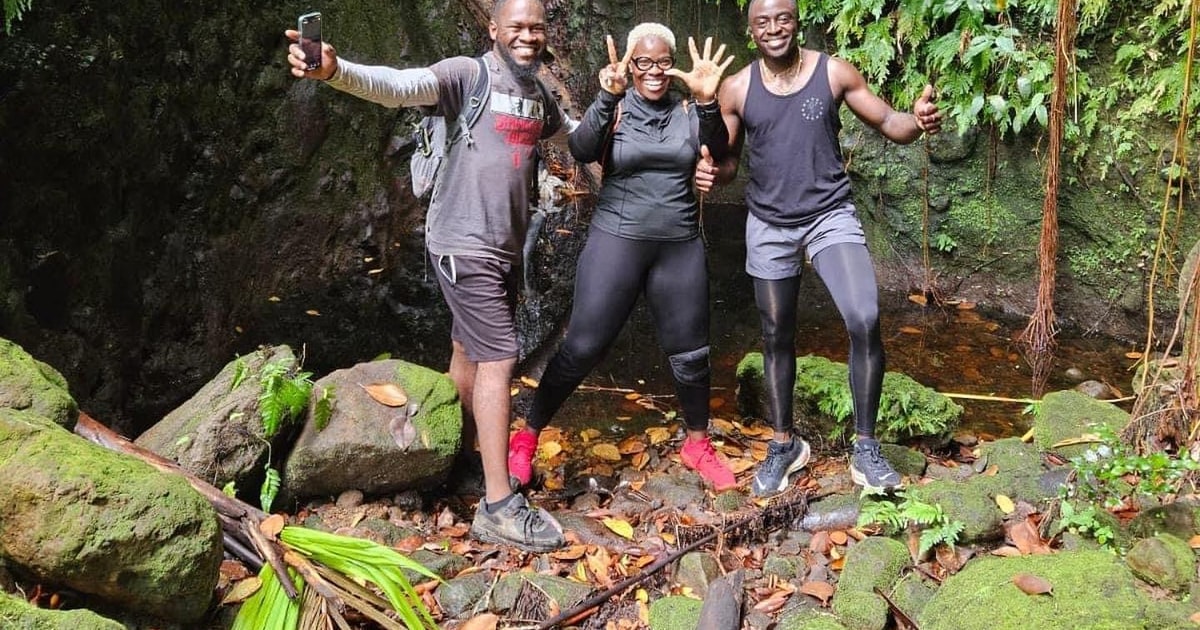 Excursión a las Cascadas de Nieves/Russel's Rest | GetYourGuide