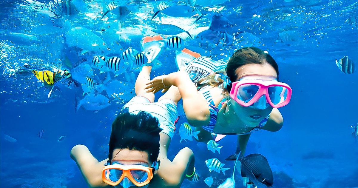 Trincomalee: Private Snorkeling Tour at Pigeon Island | GetYourGuide