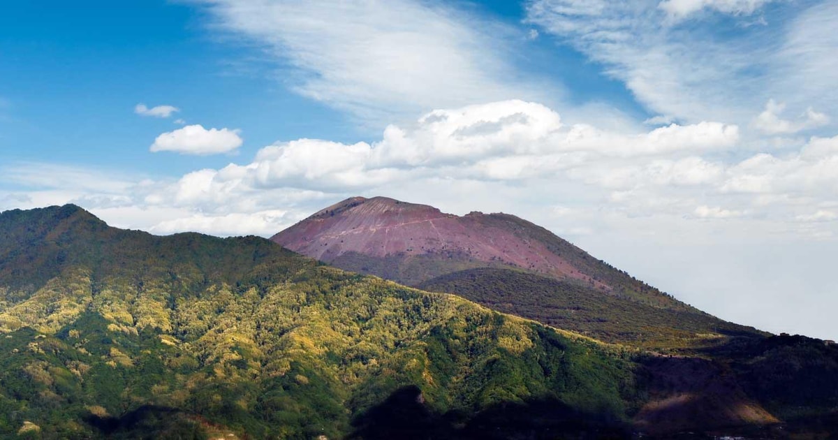 Från Pompeji: Vesuvius Entry med transfer och Audioguide | GetYourGuide
