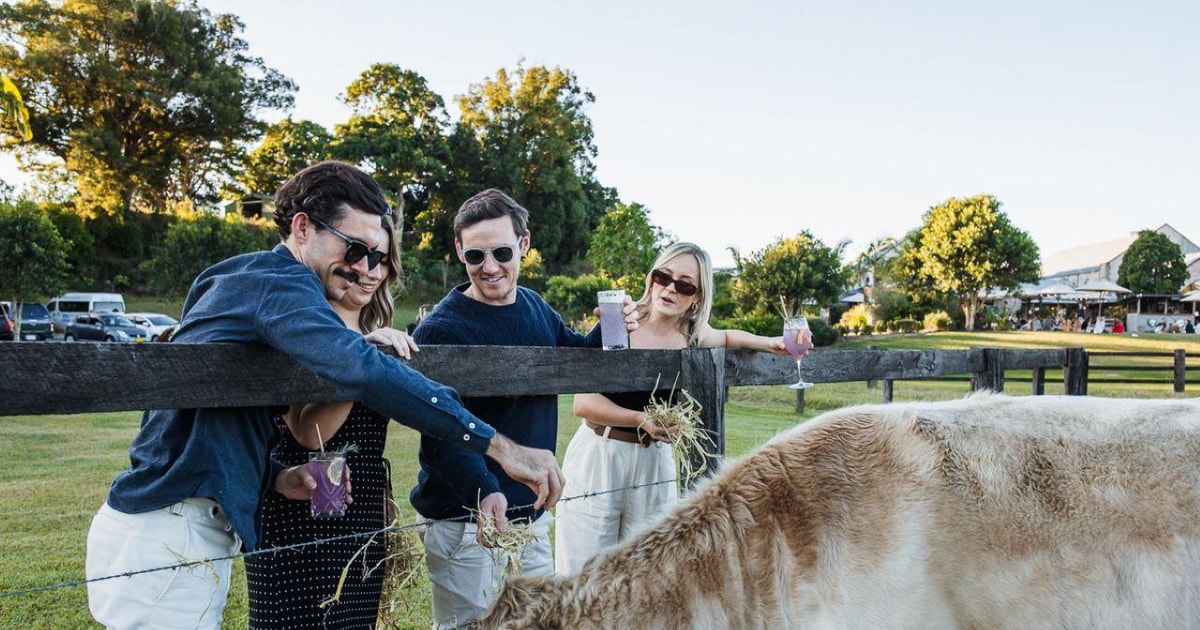 Husk Rum Farm to Bottle Tour in The Tweed | GetYourGuide