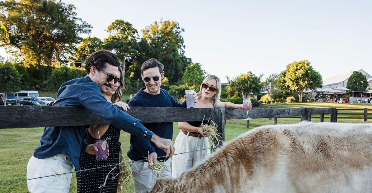 Husk Rum Farm to Bottle Tour in The Tweed | GetYourGuide