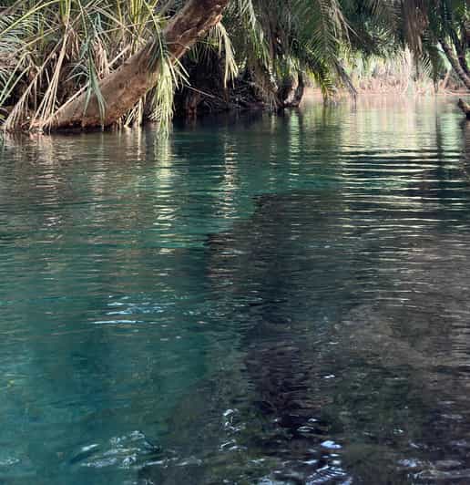 Moshi/Arusha kikuletwa Hot Springs Tour | GetYourGuide