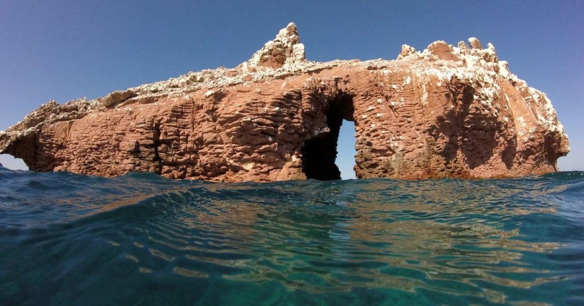 La Paz: Espíritu Santo Island Snorkeling Tour with Lunch | GetYourGuide