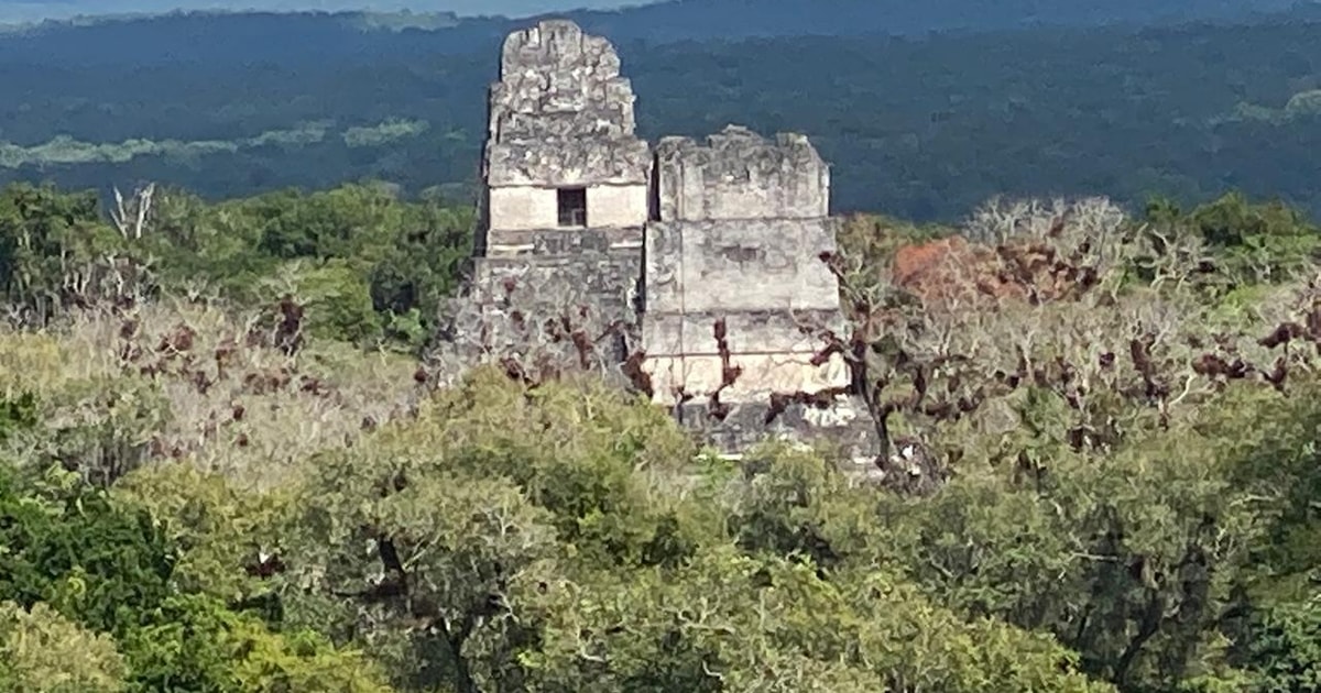 Tikal: A One-Day Adventure in the Heart of the Mayan World | GetYourGuide