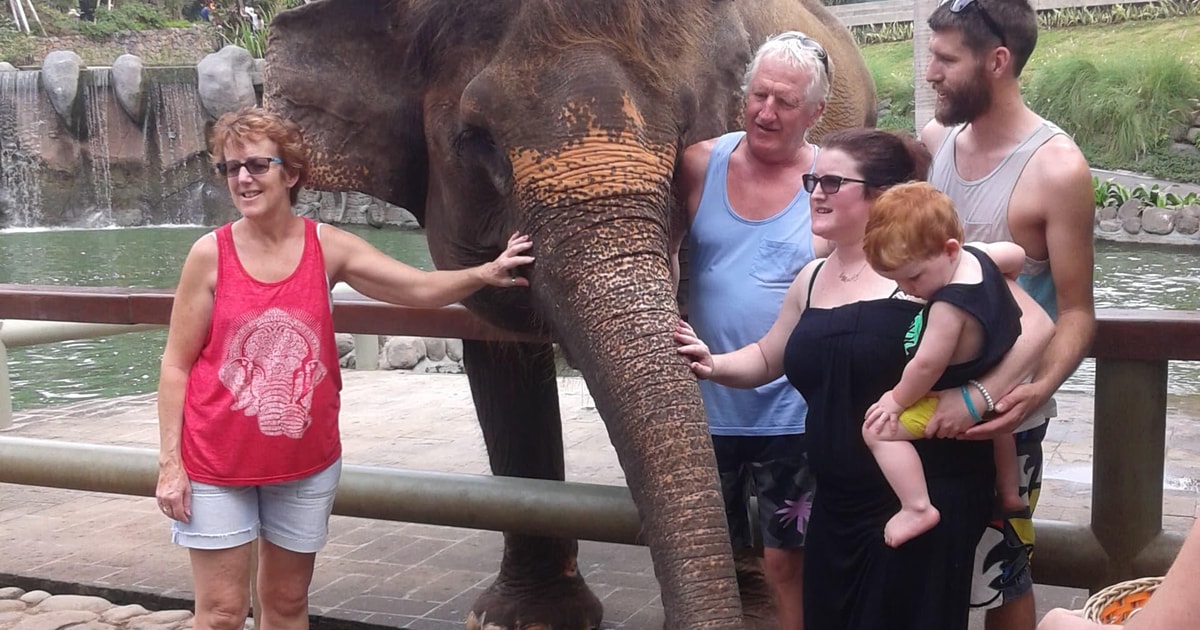 Ubud: Bezoek aan het Olifanten safaripark & hoogtepunten privétour | GetYourGuide