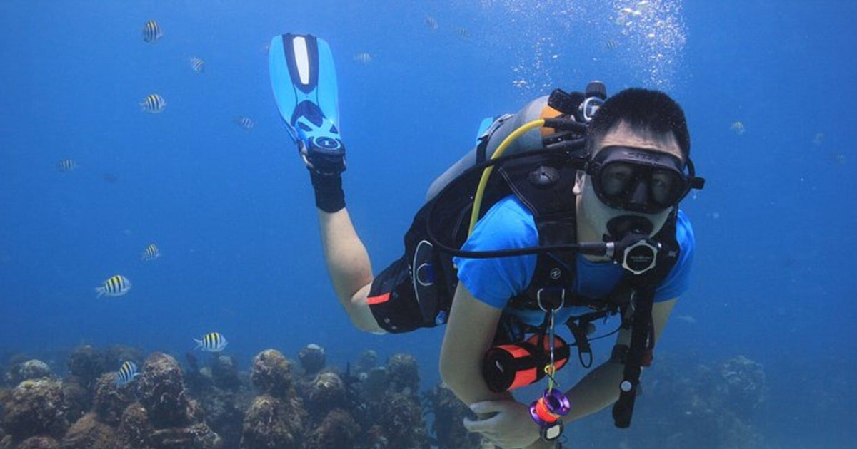 Cancun: Dive Underwater Museum & Manchones Reef | GetYourGuide