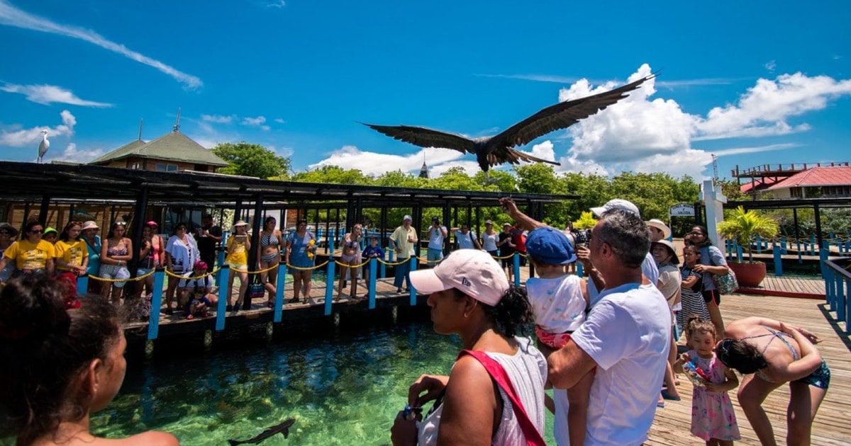 Cartagena: Cholon Island, Playa Blanca and Luminous Plankton | GetYourGuide