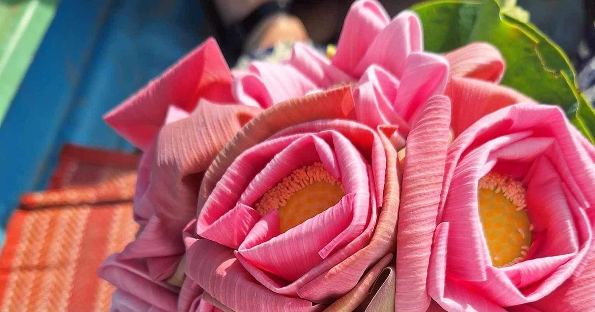 Granja de seda Lotus: Paquete con paseo en barco y 3 manualidades DIY | GetYourGuide