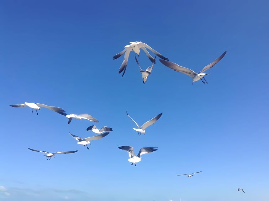 From Mérida: Enjoy nature, cenotes and beach in one day | GetYourGuide