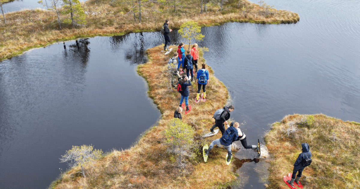 Riga: Epic Bog-Shoe Walk in Latvia’s Wild Nature | GetYourGuide