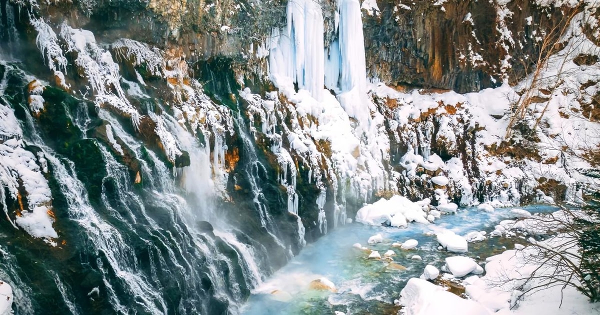 Sapporo:Asahiyama Zoo,Shirahige Waterfall&Blue Pond Day Trip | GetYourGuide