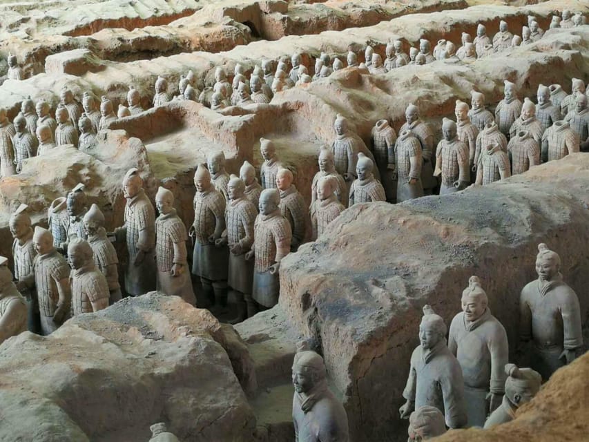 Virtual Terracotta Warriors Museum Live Tour | GetYourGuide