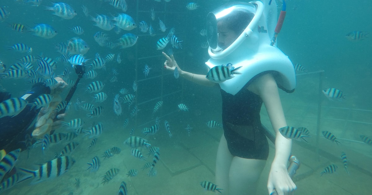 Από Da Nang/Hoi An: Νησί Cham: Cham Island Walking Underwater Day Tour ...