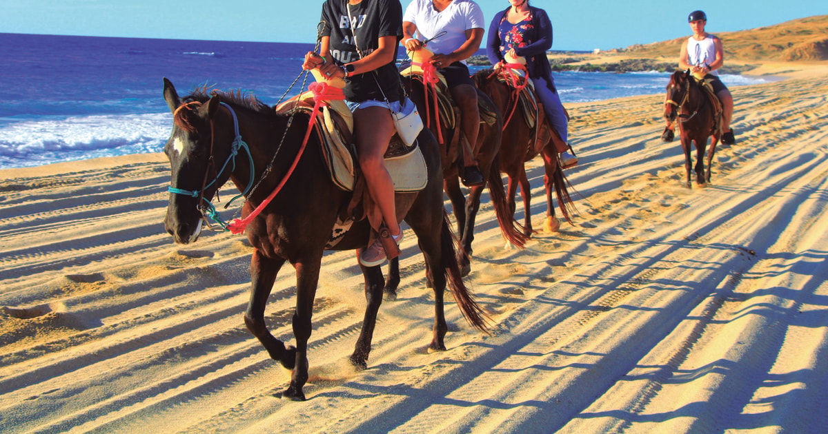 Beach UTV & Horseback Riding COMBO in Cabo by Cactus Tours | GetYourGuide
