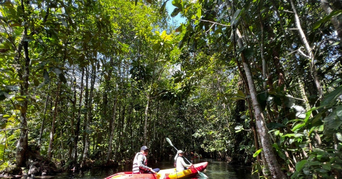 Klong Rud Kayaking with Hotel Transfer | GetYourGuide