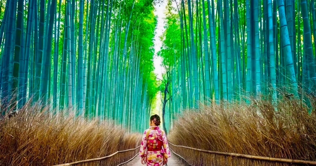 Kyoto: Private Custom Full-Day Tour with Guide & Photography | GetYourGuide