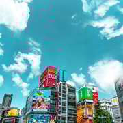 Tokyo: Personalized Private 6-Hour Tour | GetYourGuide