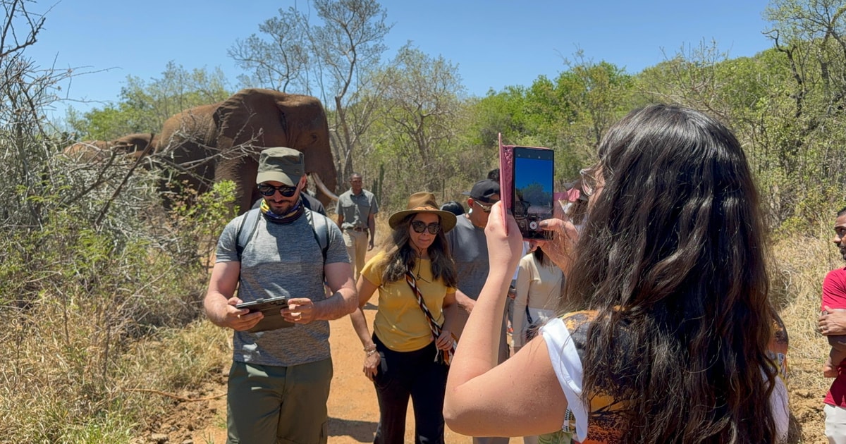 Von Johannesburg aus: Tagestour zum Elefanten- und Affengehege ...