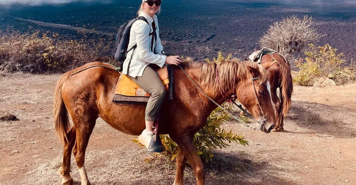Galapagos horse riding the ridges of Sierra Negra Volcano | GetYourGuide