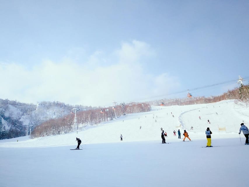 Hokkaido Sapporo Skiing 1 Day Tour-Sapporo Kokusai Ski Resor | GetYourGuide