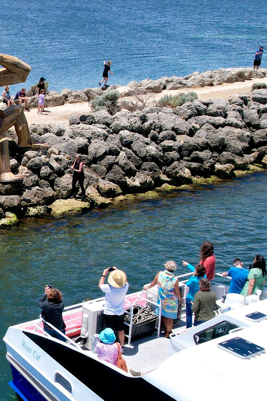 Mandurah: Dolphin & Giant Sightseeing Cruise | GetYourGuide