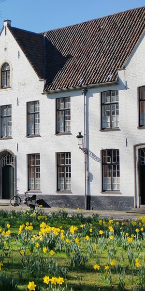 Bruges: Small Group Boat Cruise and Guided Walking Tour | GetYourGuide