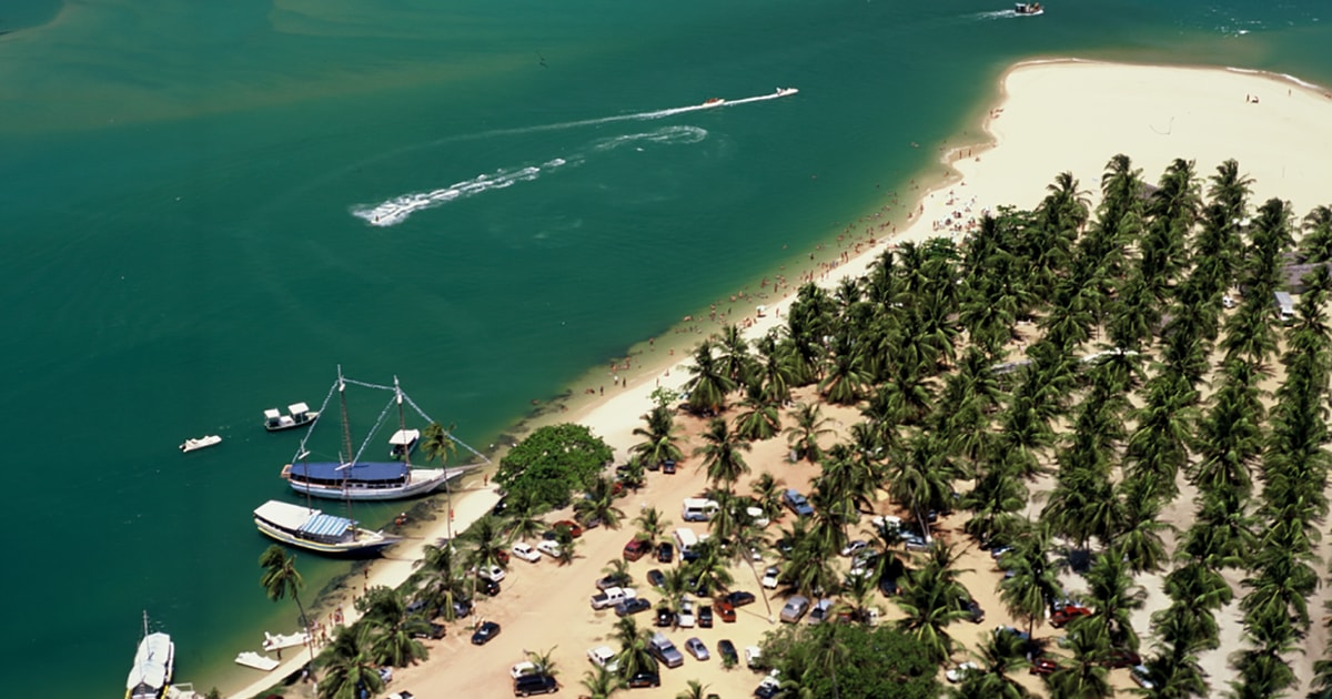 Excursão de 1 Dia à Praia do Gunga saindo de Maceió | GetYourGuide