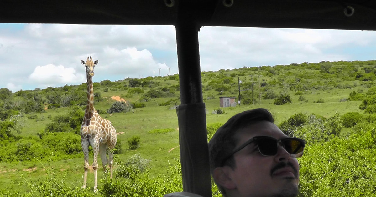 Port Elizabeth:2-Day Schotia Safaris & Addo Wildlife Reserve | GetYourGuide