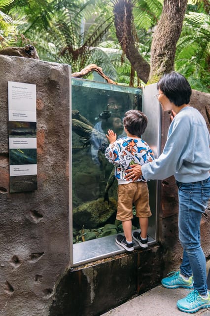 Melbourne: Melbourne Museum Entry Ticket | GetYourGuide