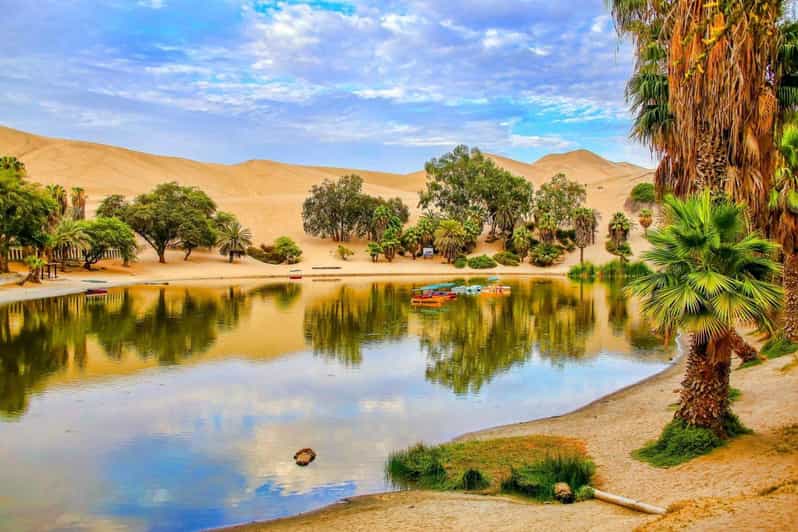 From Lima: Paracas and Huacachina Guided Desert Oasis Trip | GetYourGuide