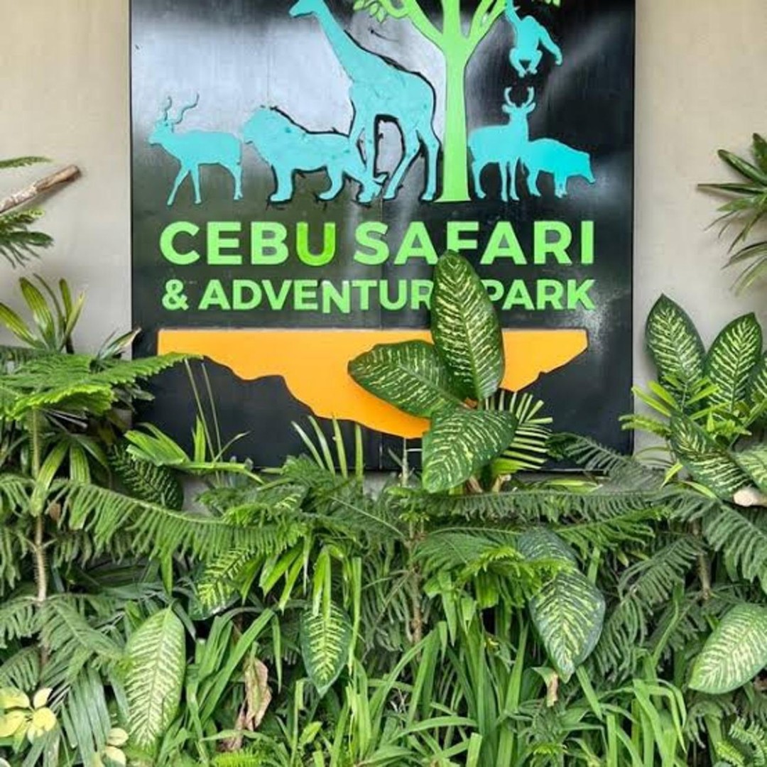 Cebu:Cebu Safari Adventure Park Day Trip | GetYourGuide