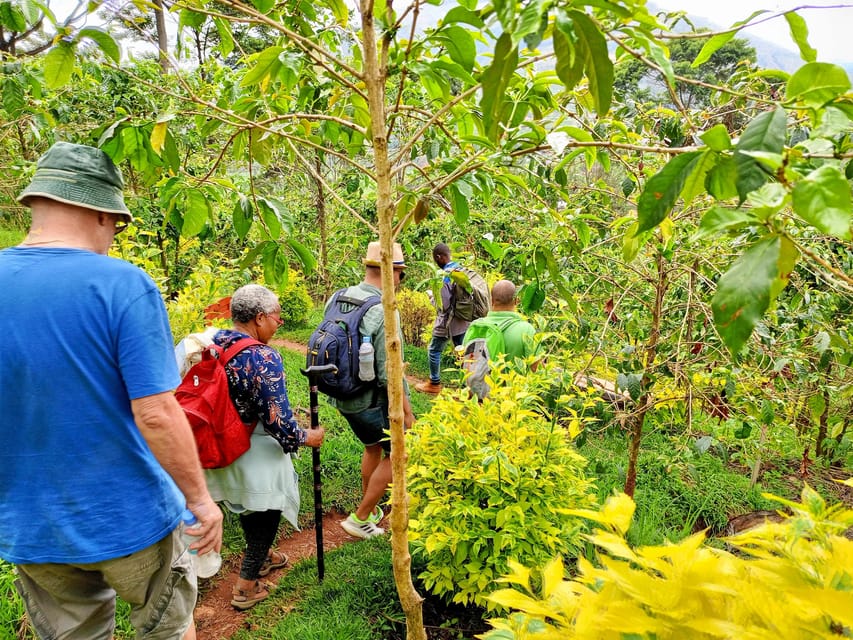 COFFEE PLANTATION TOUR | GetYourGuide